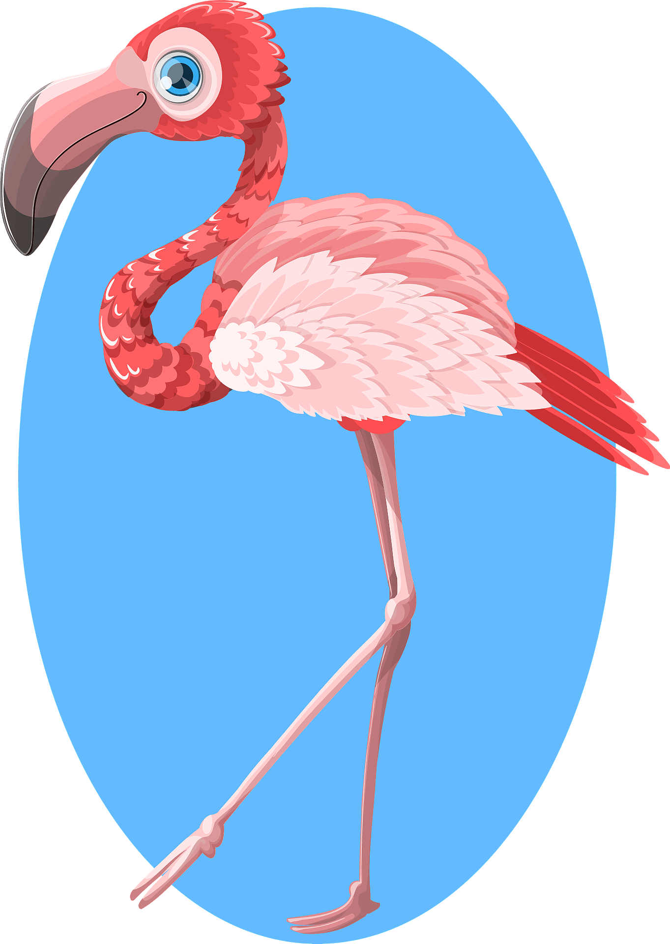 Clipart Flamingo