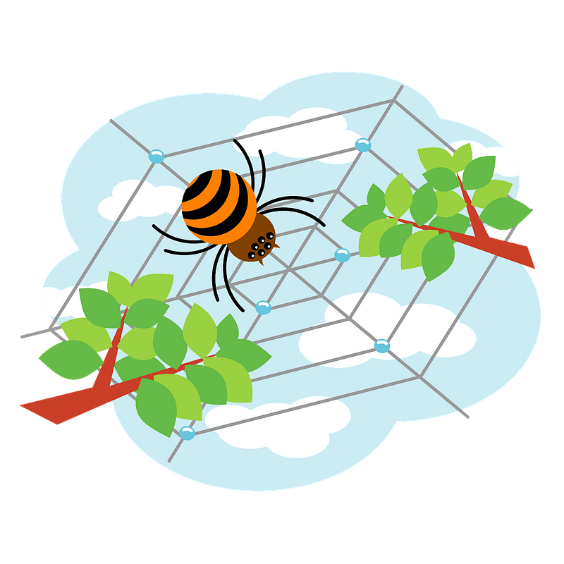 Spider making a web between branches clipart. Free download transparent ...