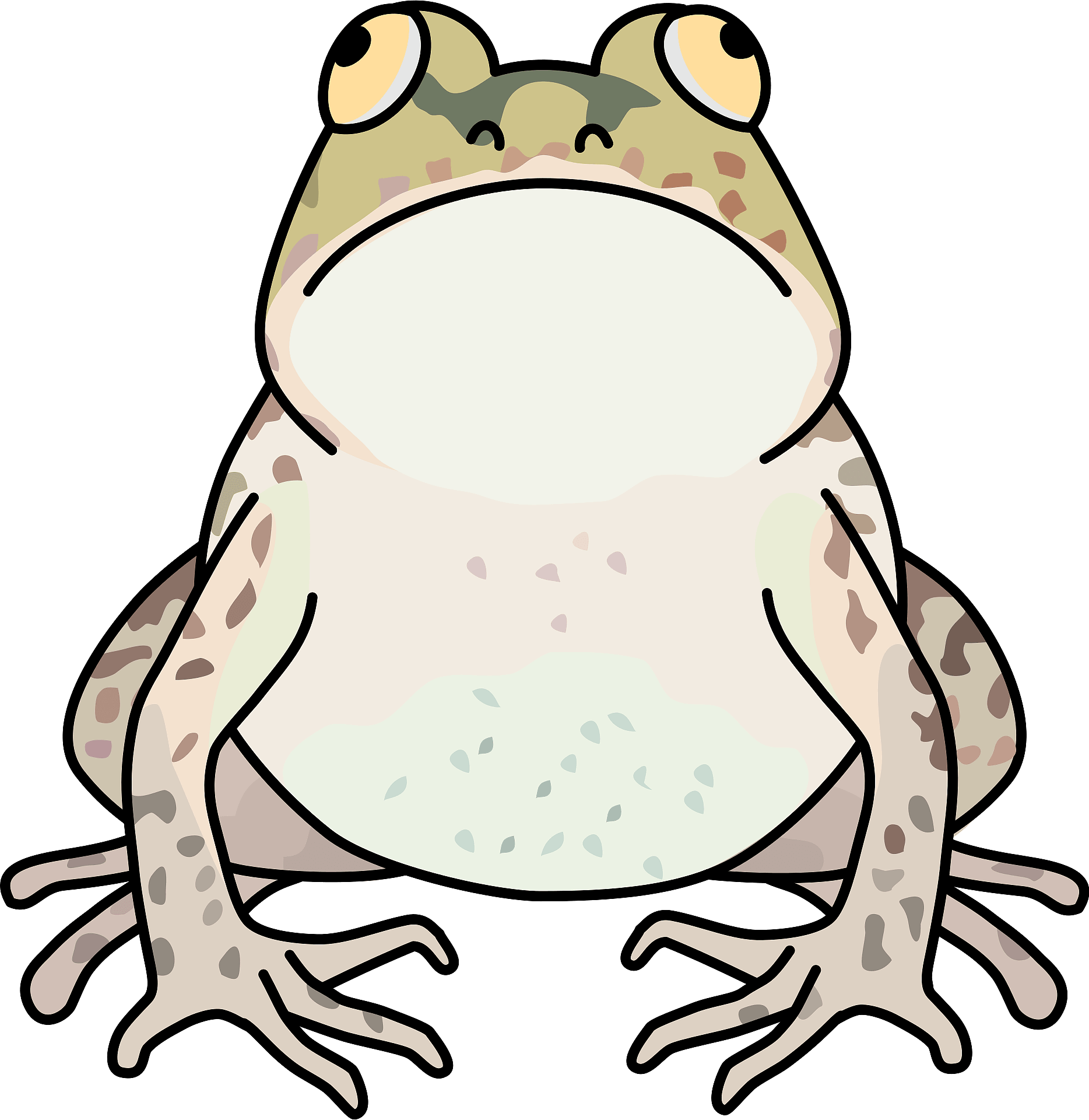 Spotted Frog Drawing