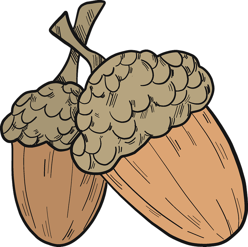 Oak Tree With Acorns Clip Art