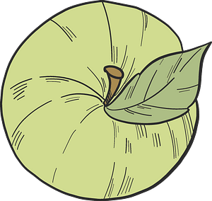 Green apple - Free vector clipart images on creazilla.com
