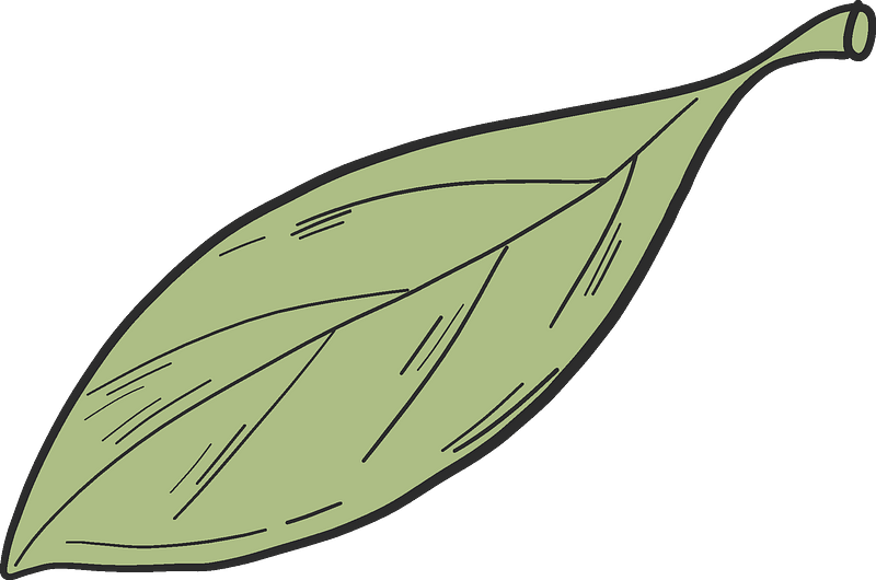Apple tree leaf - Free vector clipart images on creazilla.com