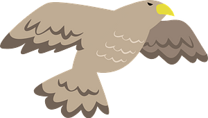 Hawk Flying - Free vector clipart images on creazilla.com