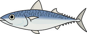 Mackerel fish - Free vector clipart images on creazilla.com