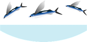 Flying fish - Free vector clipart images on creazilla.com