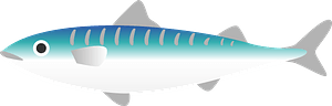 Mackerel fish - Free vector clipart images on creazilla.com