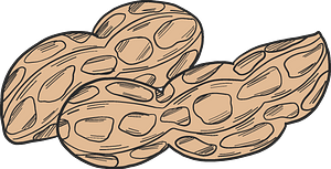 Peanuts - Free vector clipart images on creazilla.com