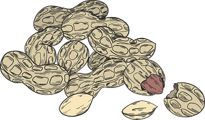 Peanuts - Free vector clipart images on creazilla.com