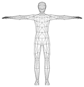 Low poly female head wireframe clipart. Free download transparent .PNG ...