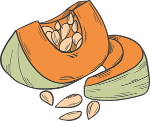 Cut pumpkin - Free vector clipart images on creazilla.com