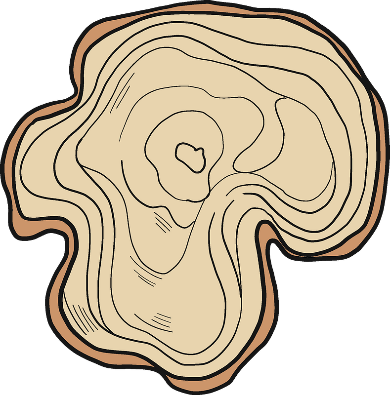 Tree trunk - Free vector clipart images on creazilla.com