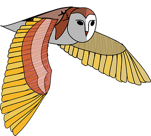 Owl in flight - Free vector clipart images on creazilla.com