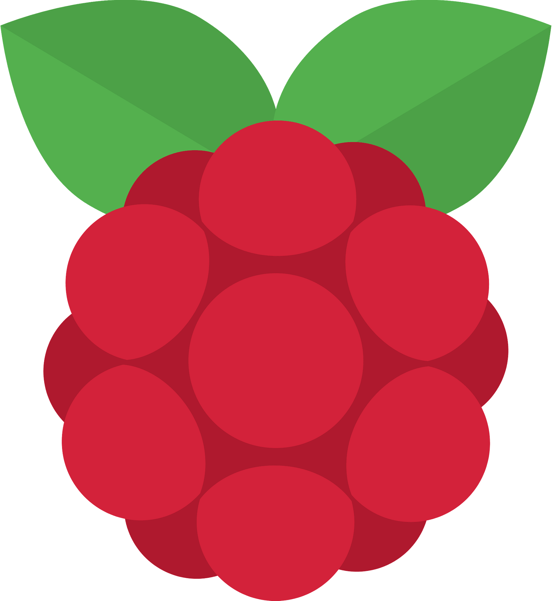 Clipart Raspberry