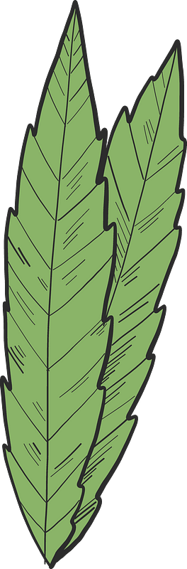 Marijuana leaves clipart. Free download transparent .PNG | Creazilla