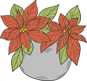 Poinsettia clipart. Free download transparent .PNG | Creazilla