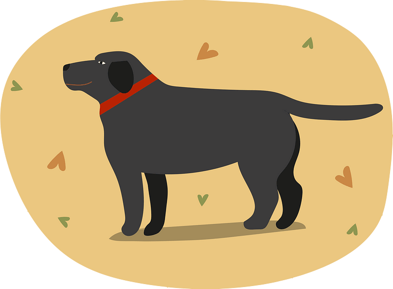 Black lab - Free vector clipart images on creazilla.com