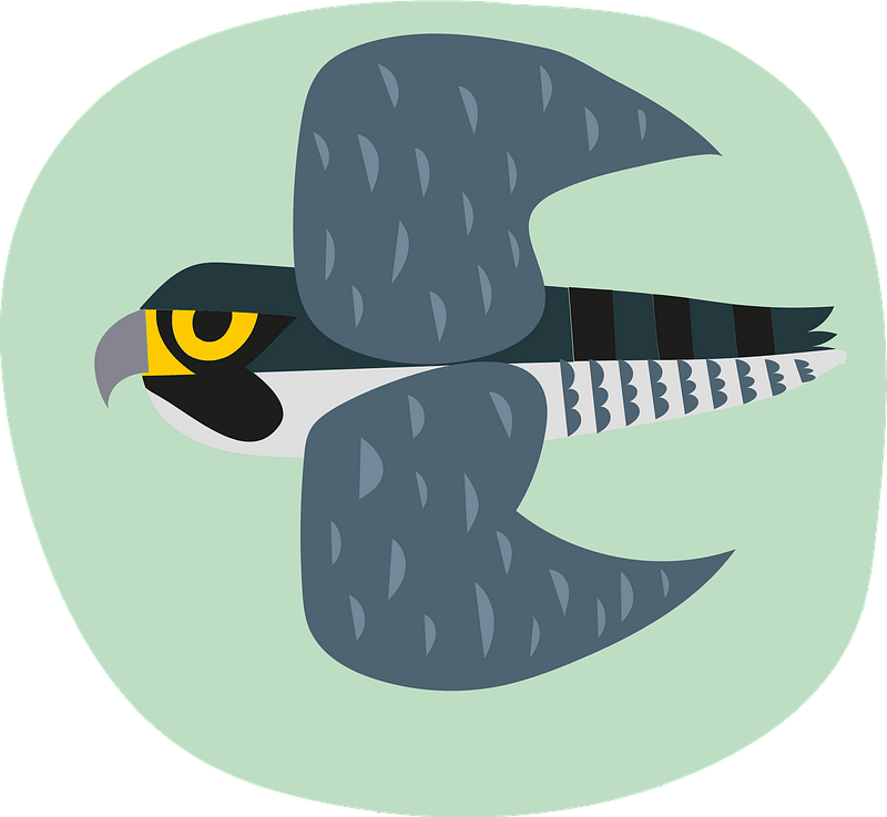 Falcon - Free vector clipart images on creazilla.com