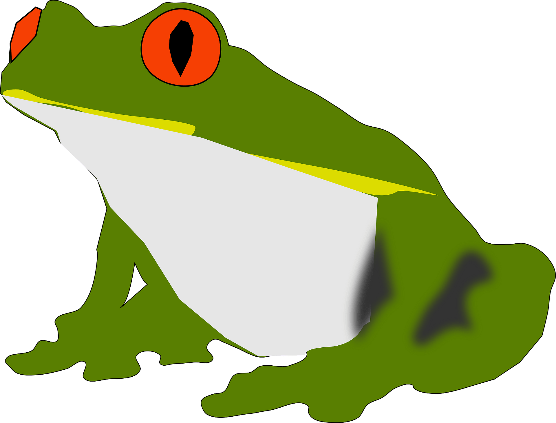 Red Eyed Tree Frog Clipart