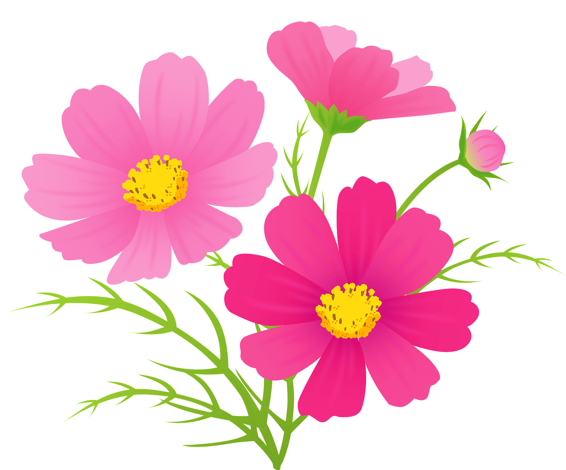 Supercilious Clipart Of Flowers