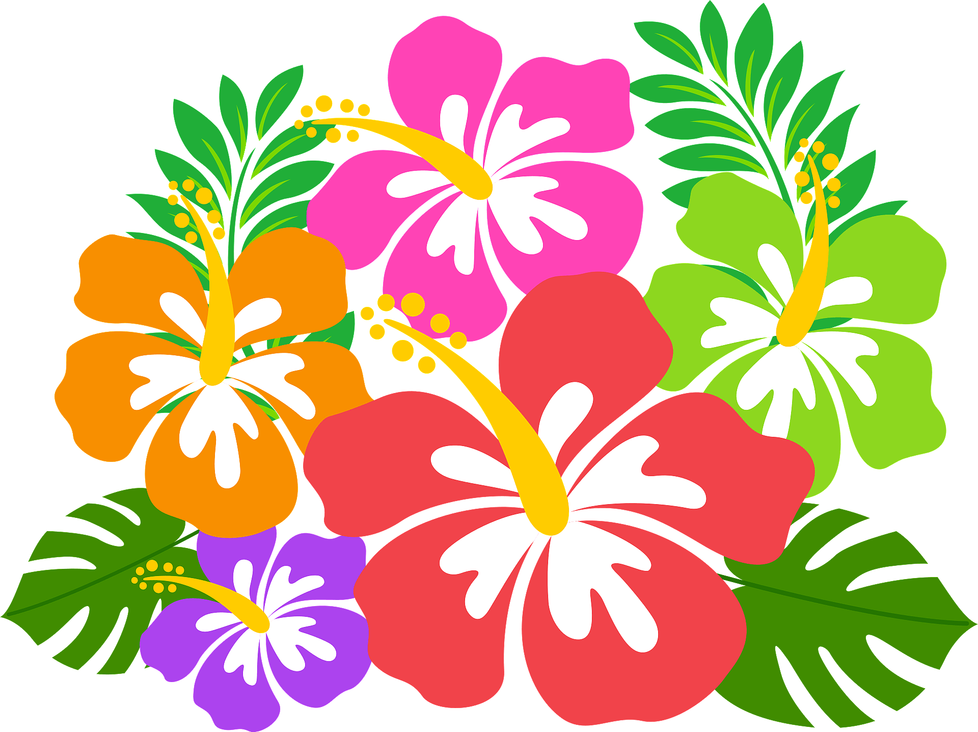Hibiscus Leaf Clipart Printable