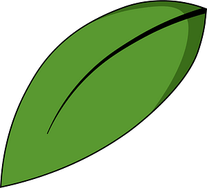 Grüne Blätter clipart. Kostenloser Download. | Creazilla