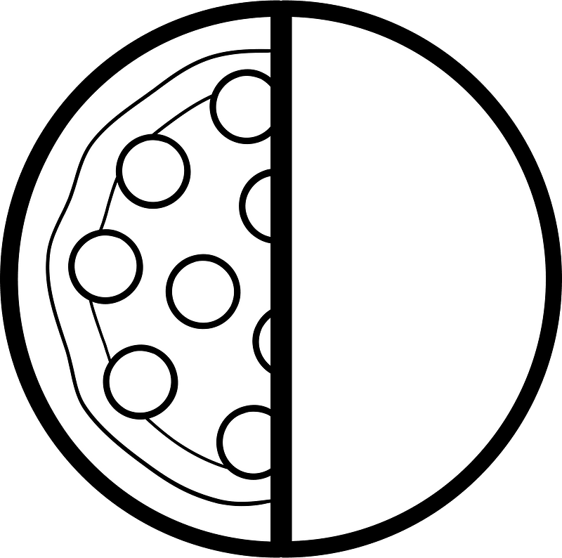 Blank Pizza Fractions 1:2 clipart. Free download transparent .PNG ...