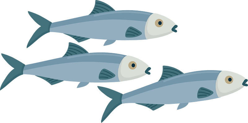 Sardines clipart. Free download transparent .PNG | Creazilla