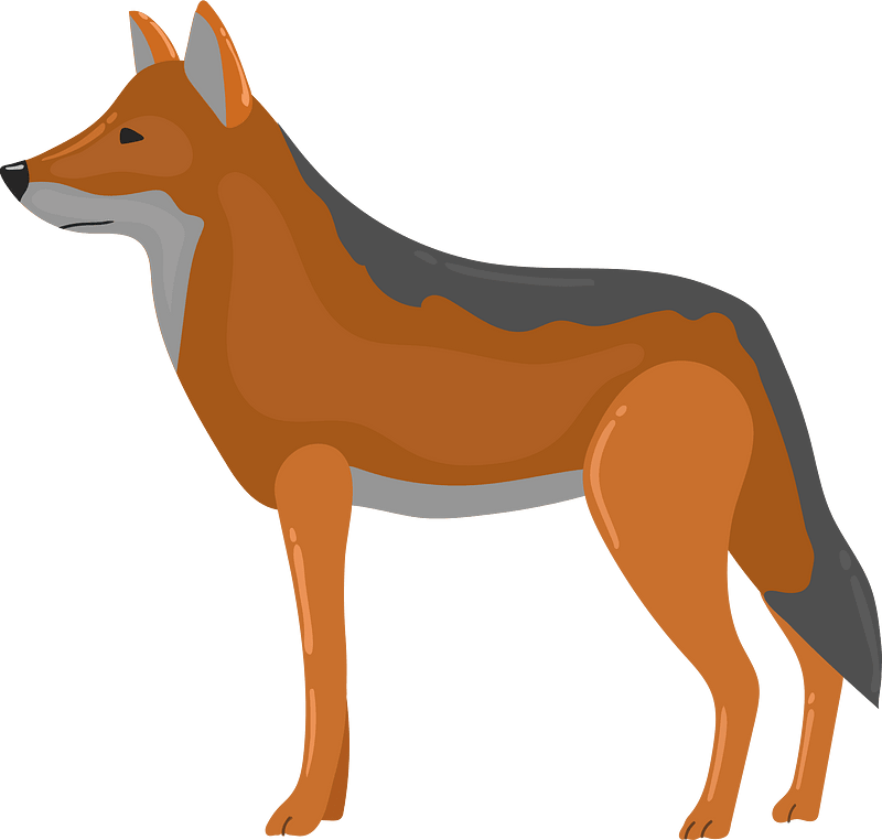 Red wolf - Free vector clipart images on creazilla.com