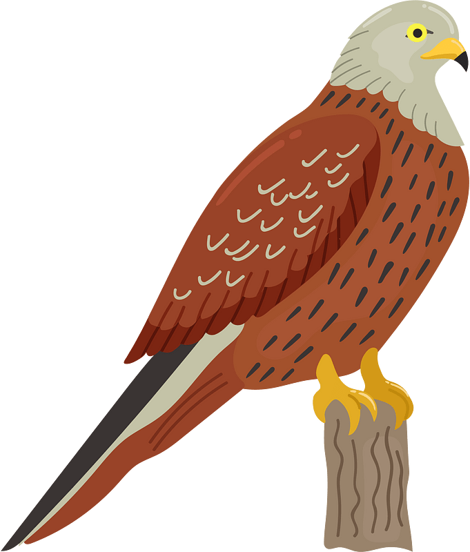 Red kite - Free vector clipart images on creazilla.com