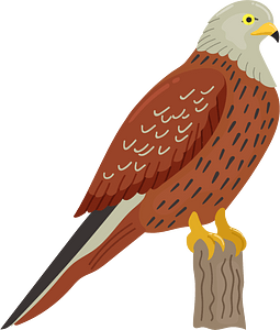 Red kite - Free vector clipart images on creazilla.com