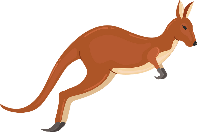 Red kangaroo clipart. Free download transparent .PNG | Creazilla