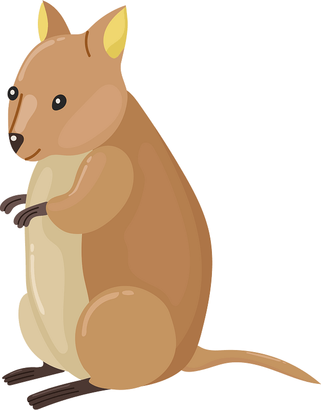 Quokka clipart. Free download transparent .PNG | Creazilla