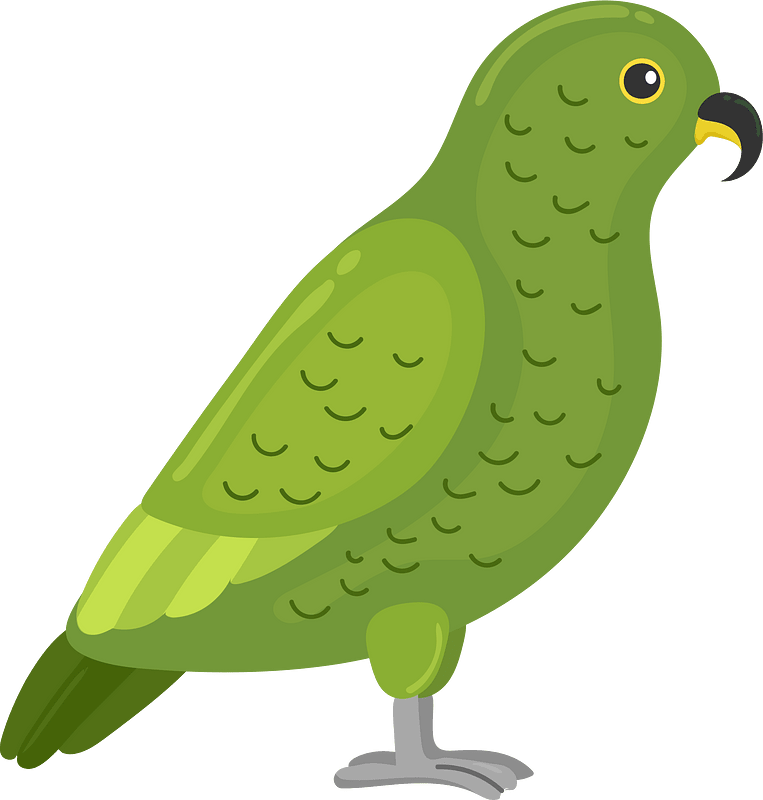 Kea - Free vector clipart images on creazilla.com