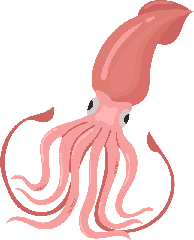 Giant squid clipart. Free download transparent .PNG | Creazilla