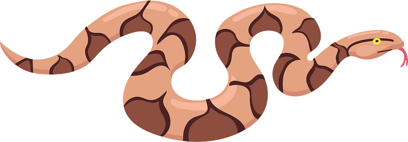 Copperhead clipart. Free download transparent .PNG | Creazilla