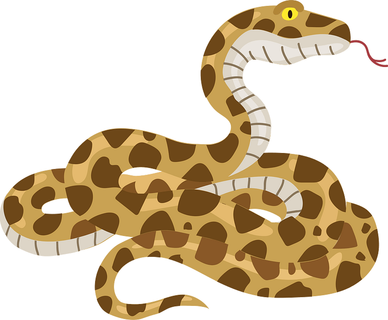 Boa constrictor clipart. Free download transparent .PNG | Creazilla