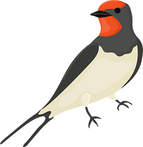 Barn swallow clipart. Free download transparent .PNG | Creazilla