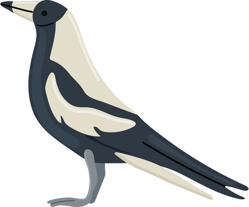 Australian magpie clipart. Free download transparent .PNG | Creazilla
