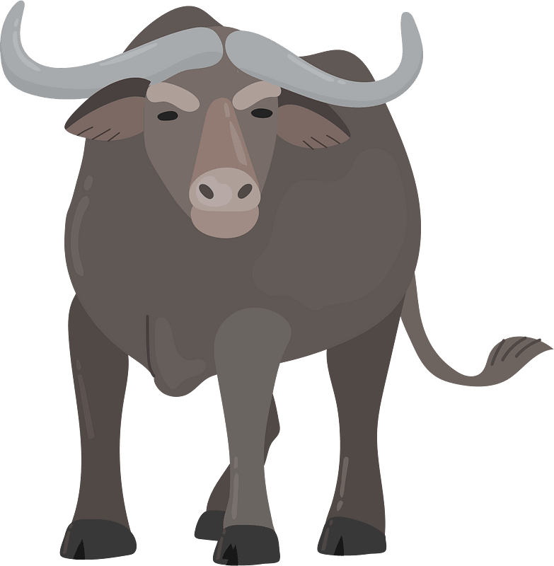 Water buffalo clipart. Free download transparent .PNG | Creazilla