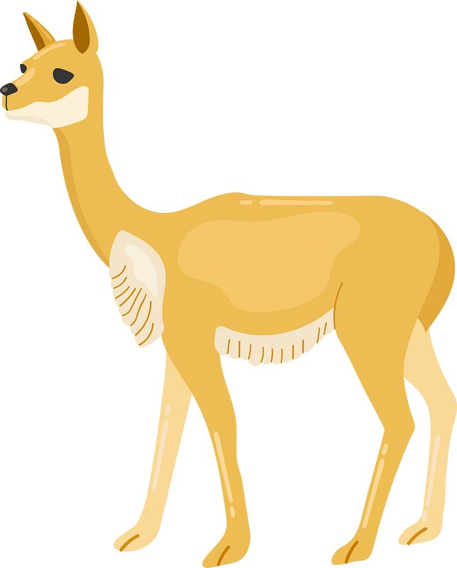Vicuna - Free vector clipart images on creazilla.com
