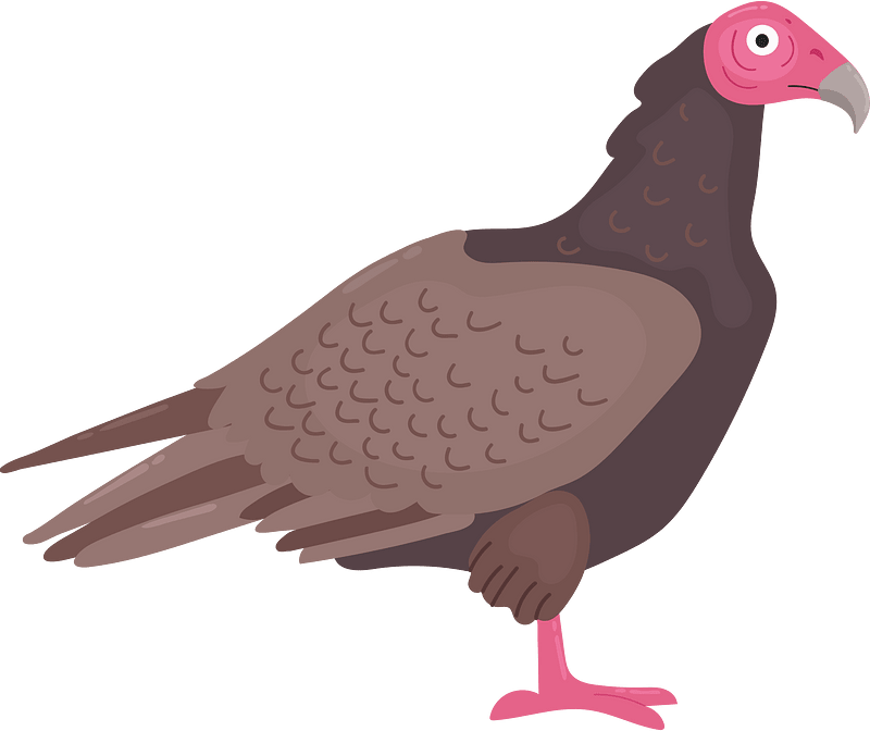 Turkey Vulture Clip Art Vulture Silhouette Png Clip Art
