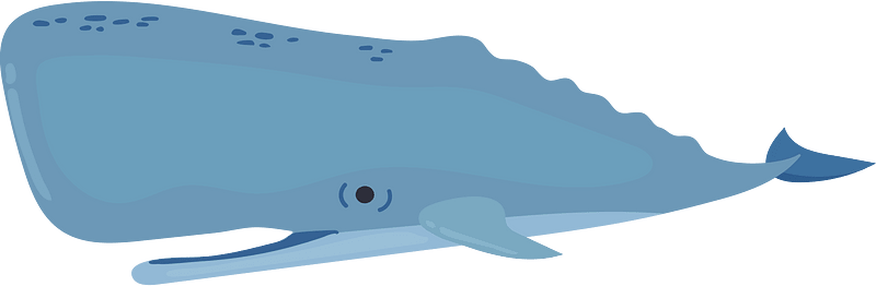 Sperm whale clipart. Free download transparent .PNG | Creazilla