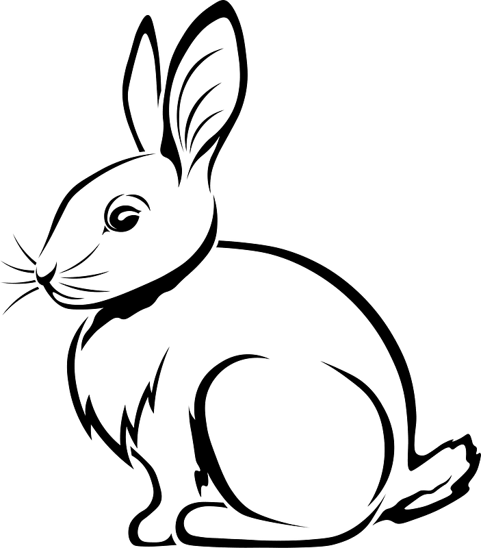 Bunny - Free vector clipart images on creazilla.com