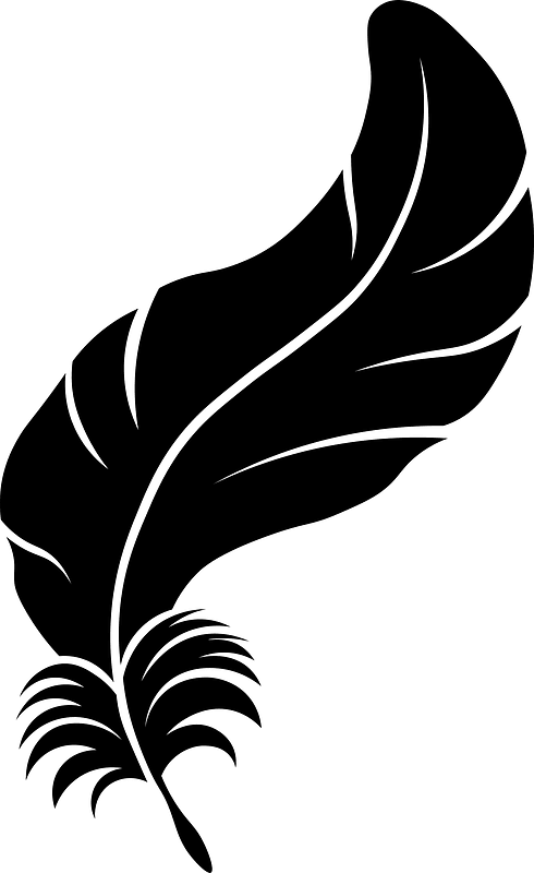 Feather - Free vector clipart images on creazilla.com