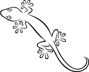 Gecko - Free vector clipart images on creazilla.com