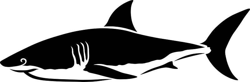 Great White Shark - Free vector clipart images on creazilla.com