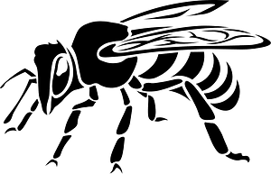 Honey Bee - Free vector clipart images on creazilla.com