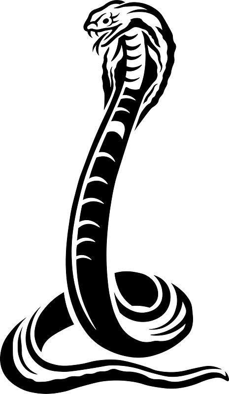 King Cobra - Free vector clipart images on creazilla.com