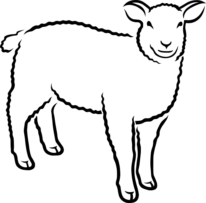 Lamb - Free vector clipart images on creazilla.com