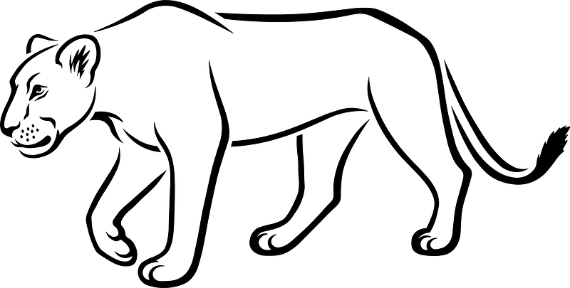 Lioness clipart. Free download transparent .PNG | Creazilla